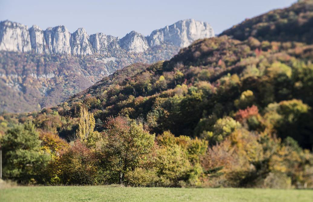Valence Romans Tourisme : Vivre une expérience unique