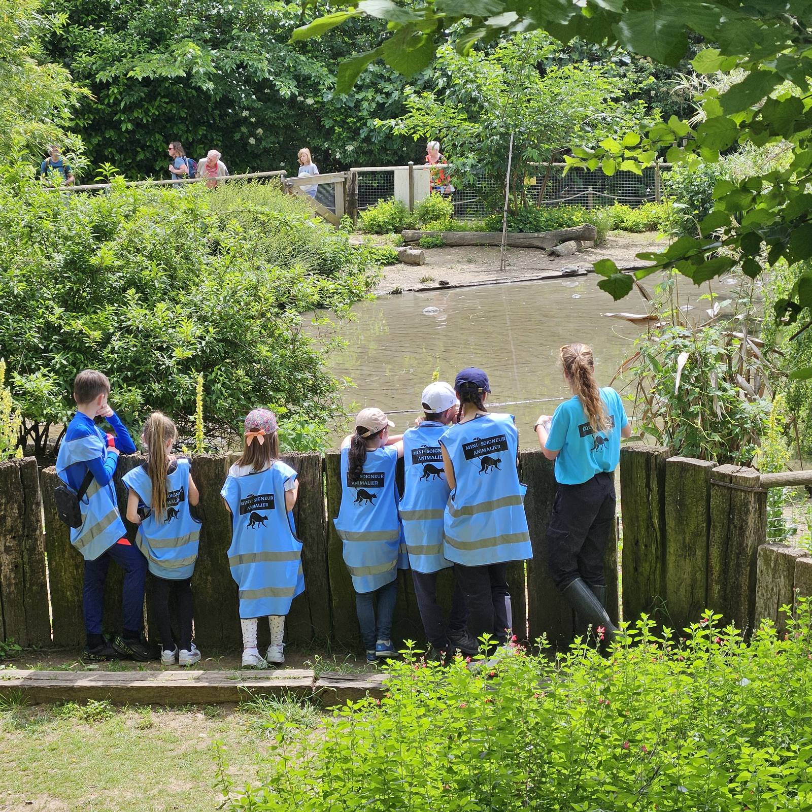 Découvrez les stages animalier au zoo d'Upie à seulement 1h30 de Lyon